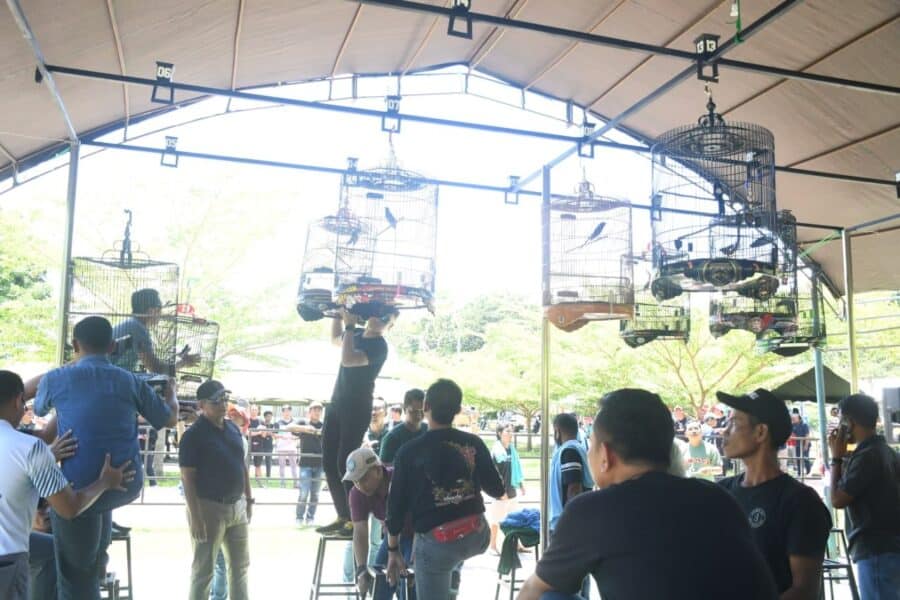 Korem 142/Tatag Gelar Lomba Kicau Mania se Sulawesi Barat