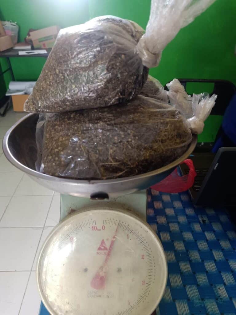 Kepekaan Prajurit Bima Sakti, Gagalkan Transaksi Jual Beli Ganja ...