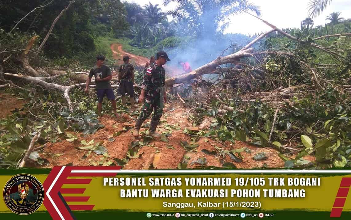 Personel Satgas Yonarmed 19/105 Trk Bogani Bantu Warga Evakuasi Pohon Tumbang di Perbatasan RI ...