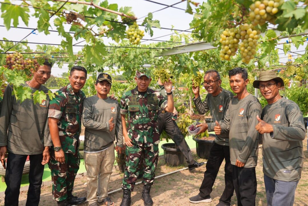 Inisiasi Gerakan Nasional Ketahanan Pangan, TNI Ubah Lahan Tidur Menjadi Produktif