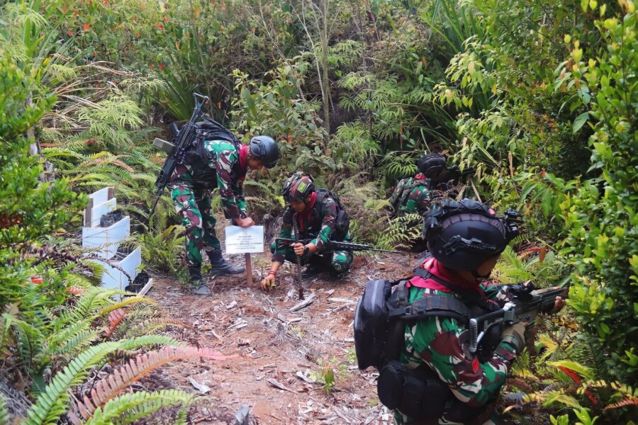 Satgas Pamtas - TNI Angkatan Darat